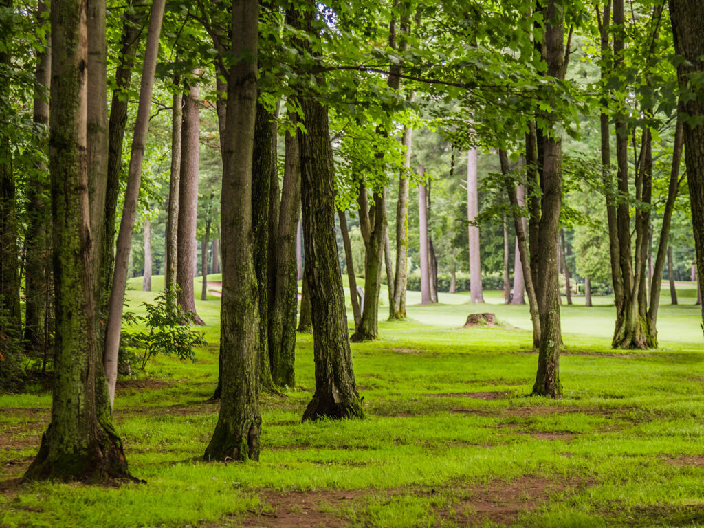 Policies | Trafford Rubber